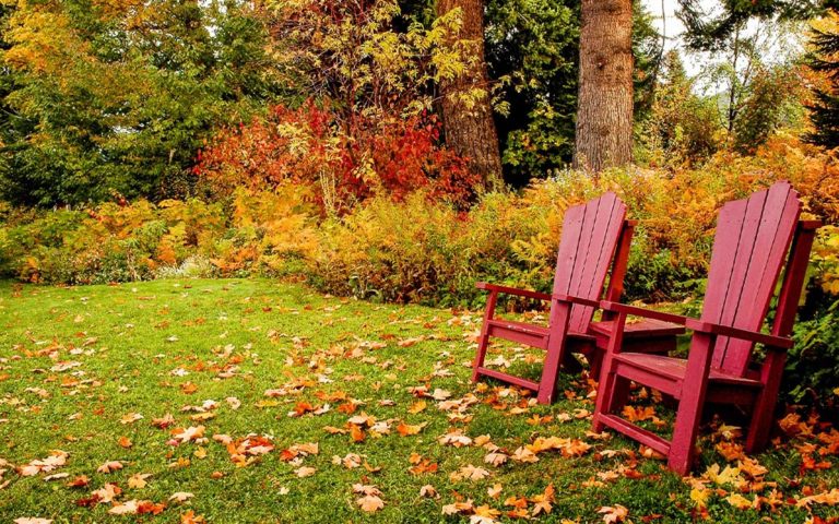 Comment entretenir son jardin en automne dans le Var 83